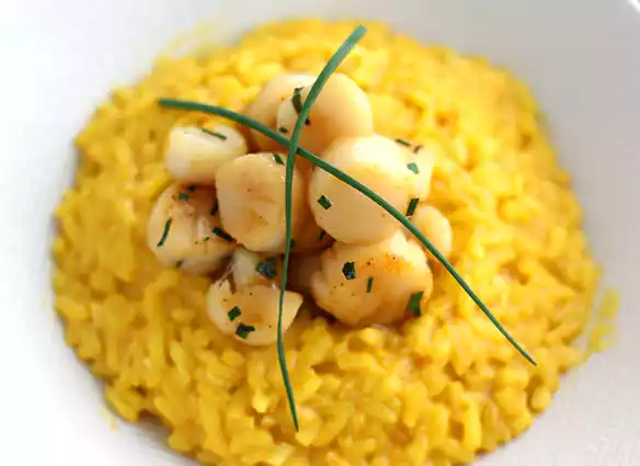 Recept på risotto med pilgrimsmusslor och saffran