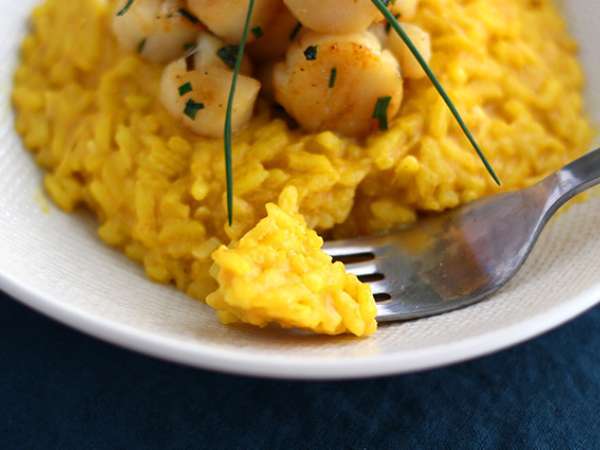 Recept på risotto med pilgrimsmusslor och saffran